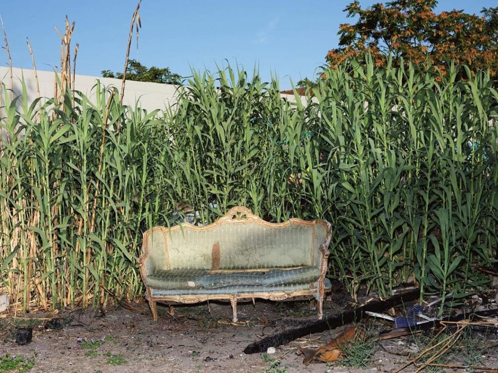 Gucci Spring Summer 2021 - RUNWAY MAGAZINE ® Official