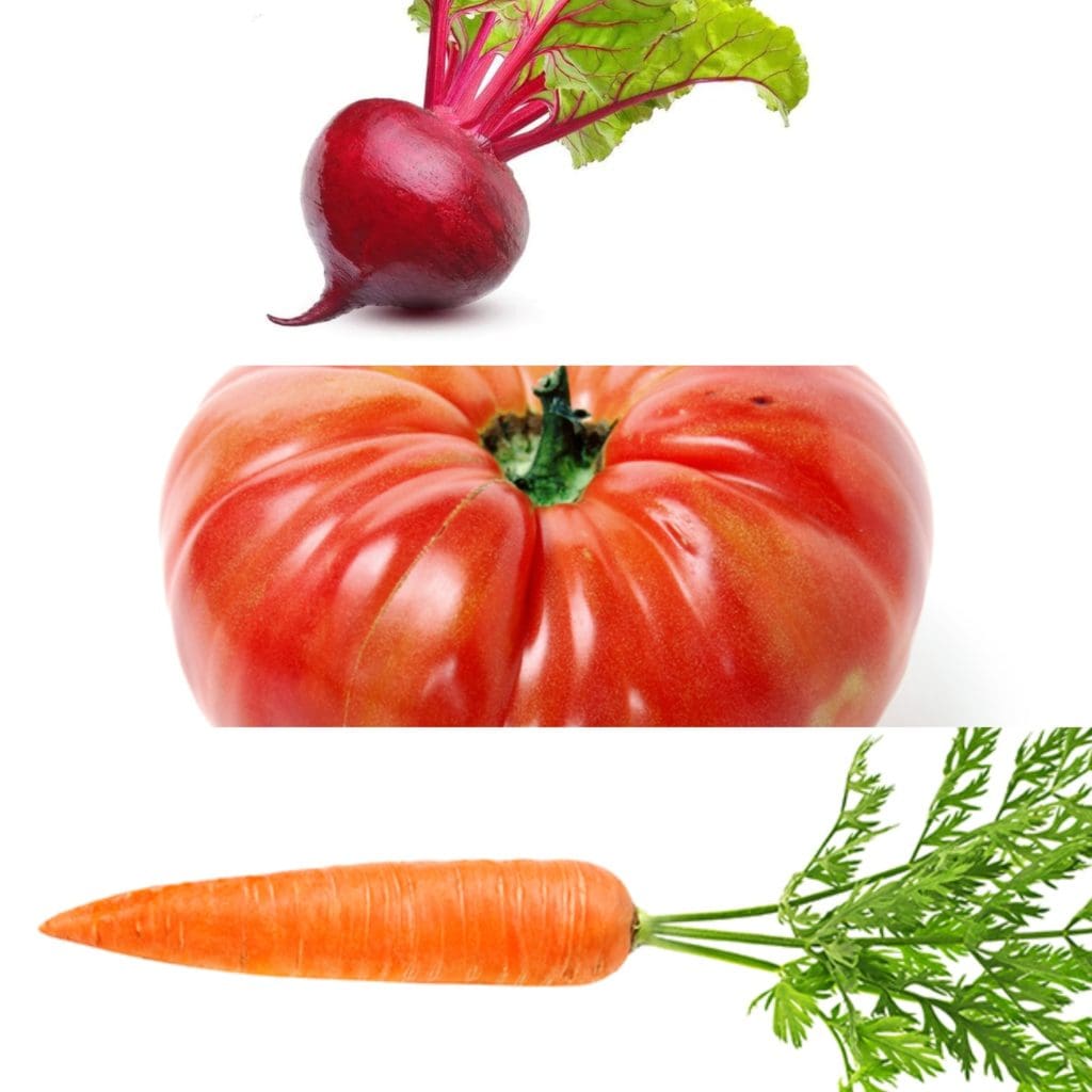 Gucci Spring Summer 2021 - RUNWAY MAGAZINE ® Official